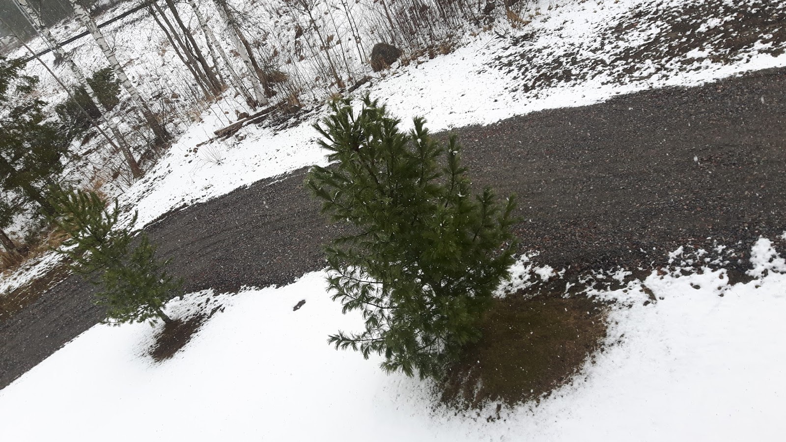 cias1975: Glad Valborg! "Glada Vappen"