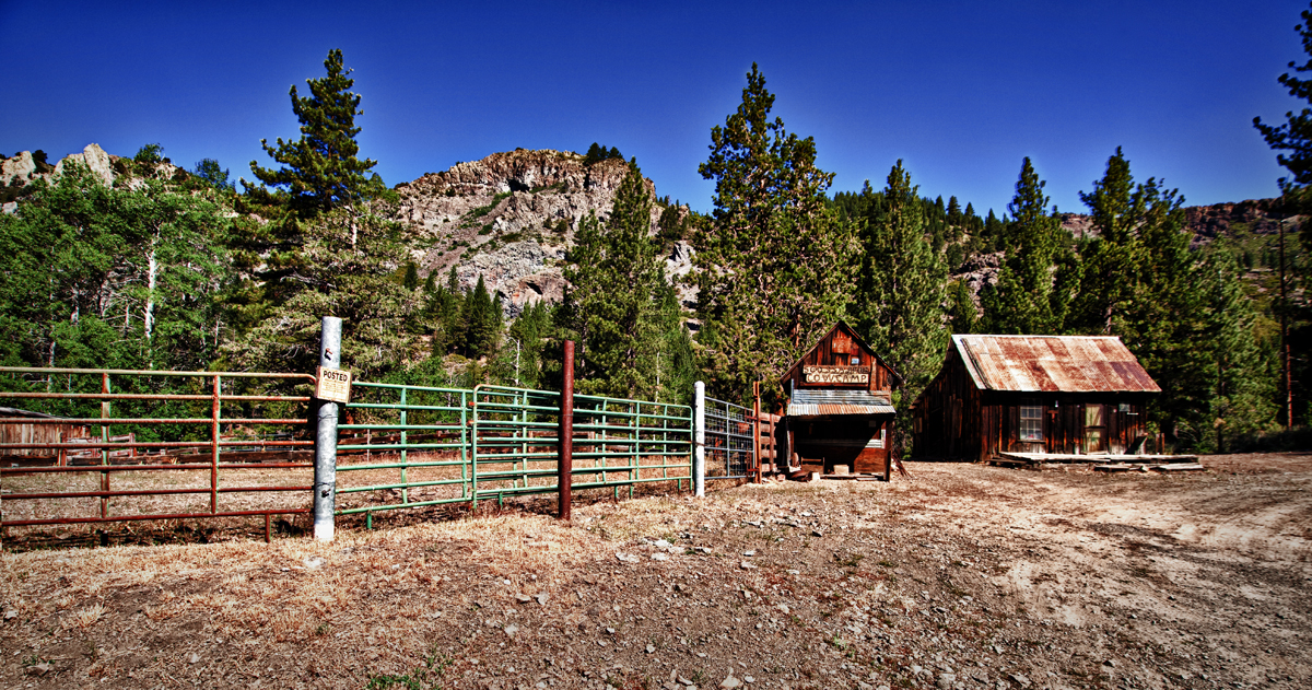 Rick Williams Photography: Ebbetts Pass