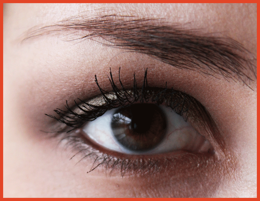 eBeautyandCare: Mon beau Somptuous Olive, roi des kakis...