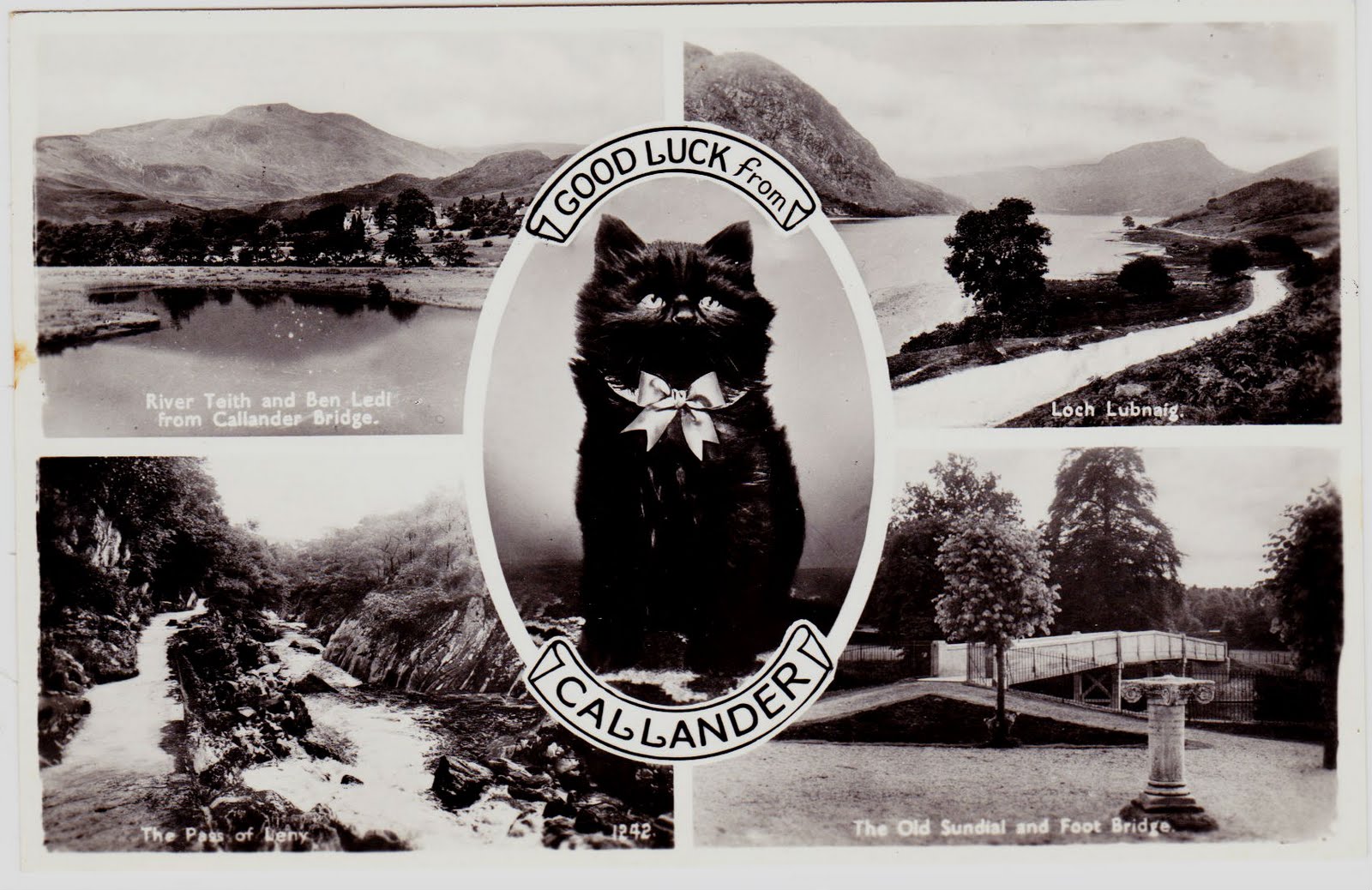 Papergreat: 10/9/11 - 10/16/11