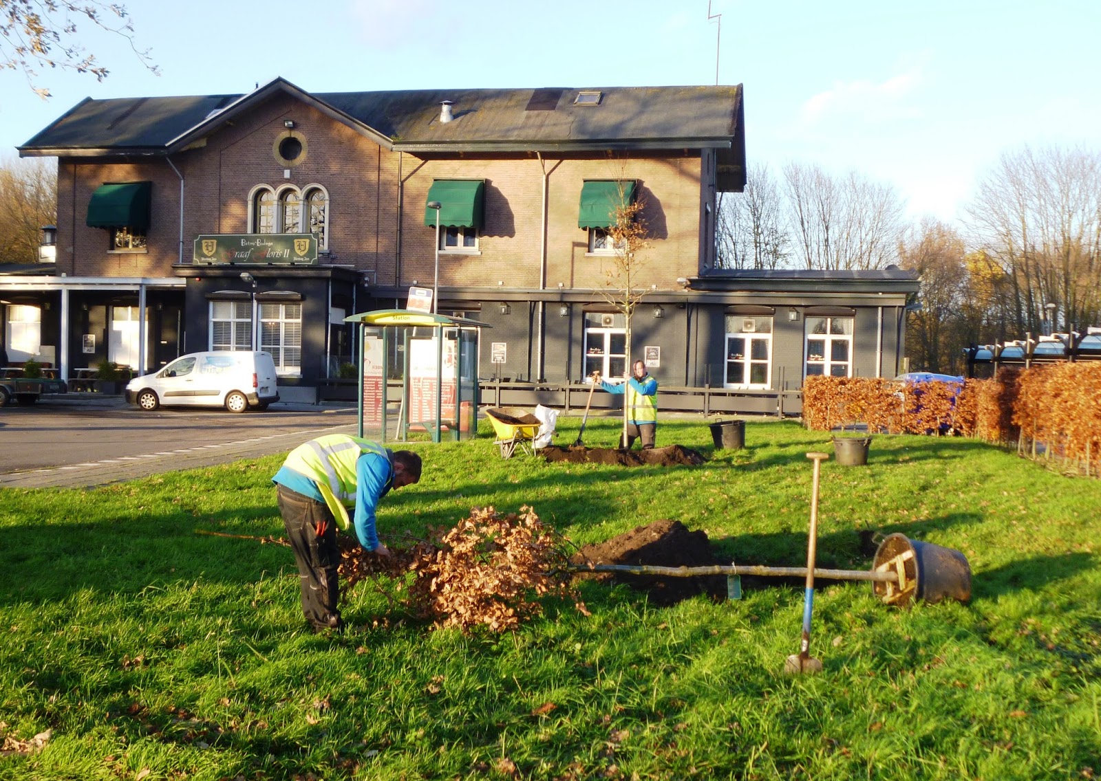 Bomenstichting Achterhoek: Herplant dode eiken door NS-Vastgoed bij ...