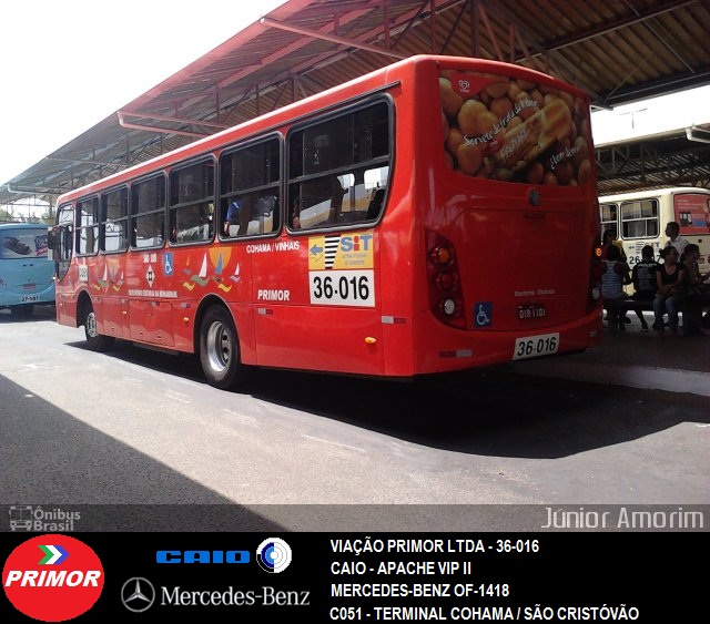 ÔNIBUS URBANOS DE SÃO LUIS: SEÇÃO APACHE VIP II