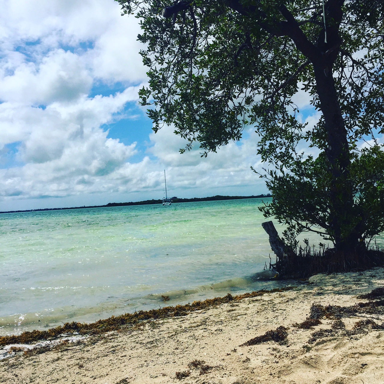 Exploring The Florida Keys: Picnic Island - a day in the life of a mom