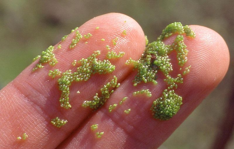 “Fear is a disease that eats away at logic and makes man inhuman ...