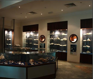 Aquarium And Marine Museum UMS