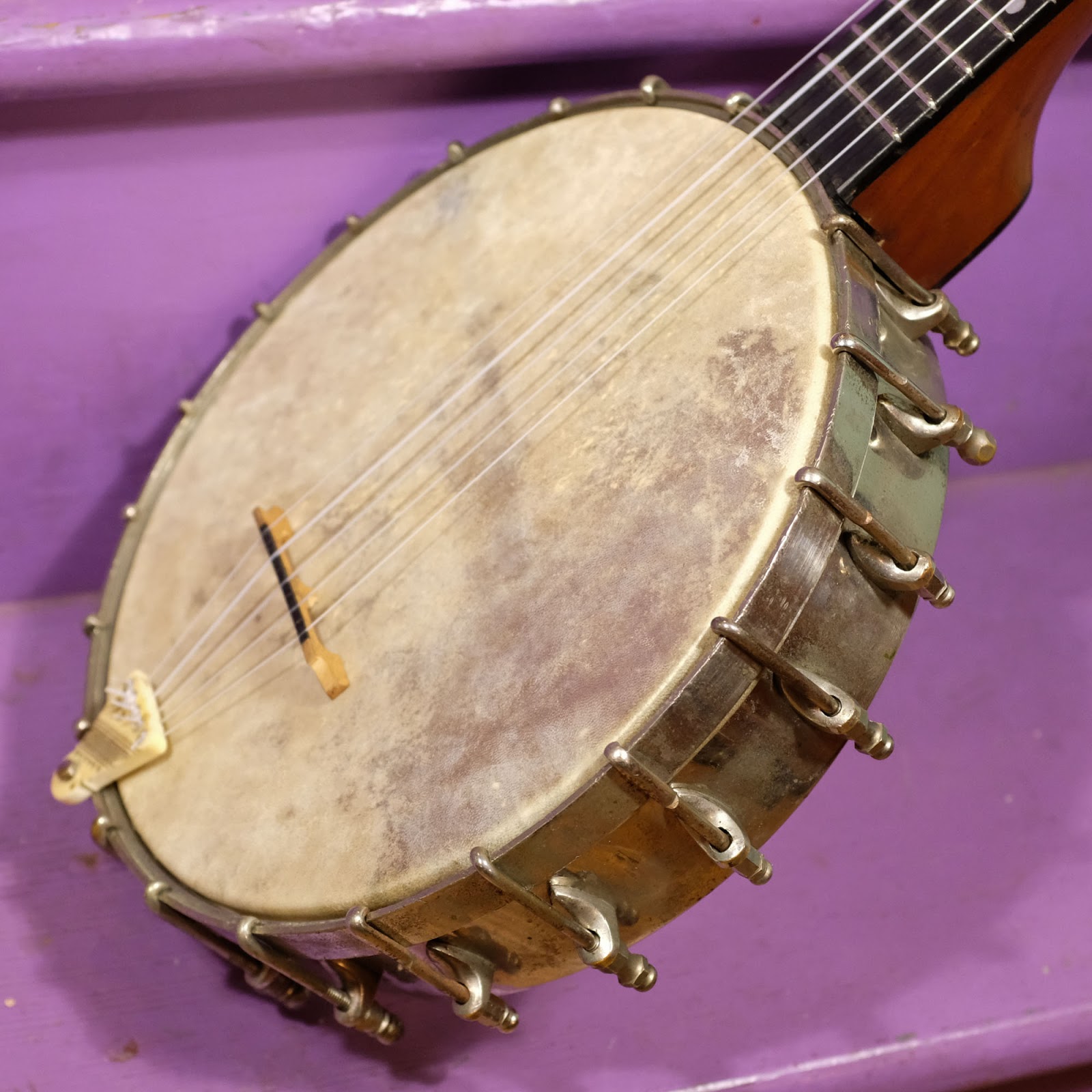 1890 SS Stewart "Lady Stewart" 5-String Openback Banjo
