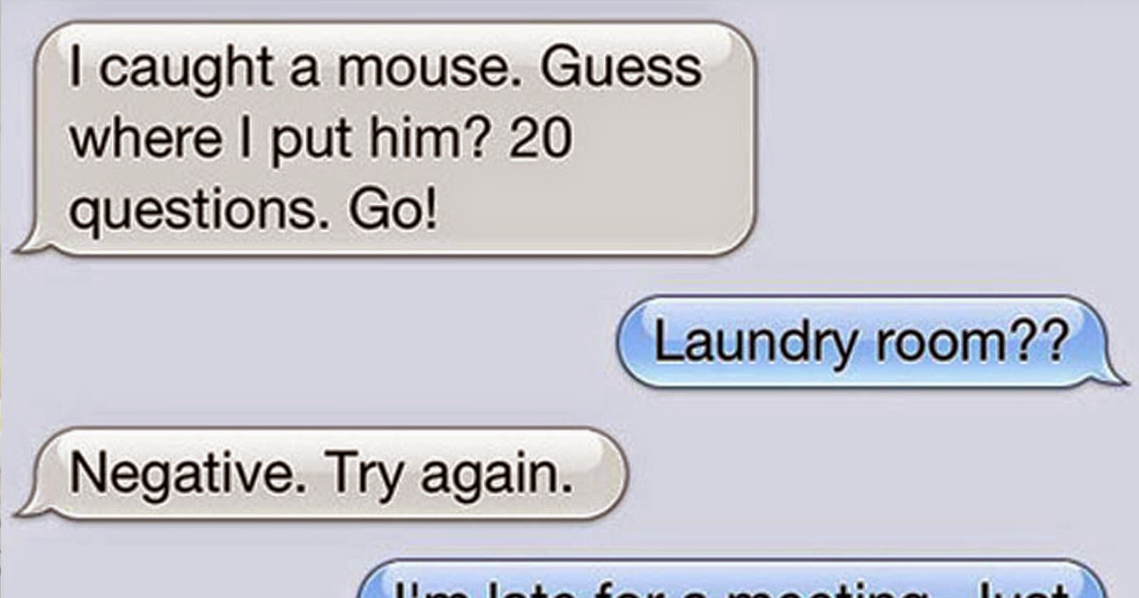 15 Text Messages A Cat Would Send If Cats Could Actually Text