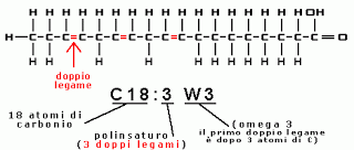 Riccardo Dapretto Personal Trainer: Omega-3 e Omega-6. I grassi che ...