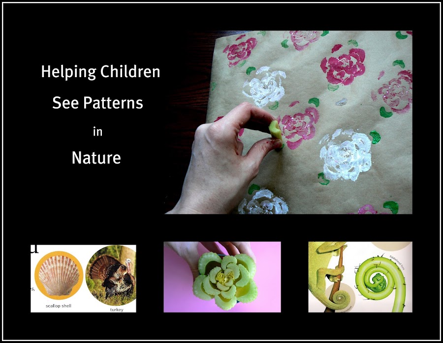 Having Fun at Home: Patterns in Nature: a Book and a Craft