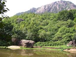 Beautiful pictures gallery : Dugda