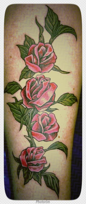 plain pain tattoo: Rosor,roses,blommor,flowers,tatuerings bilder ...