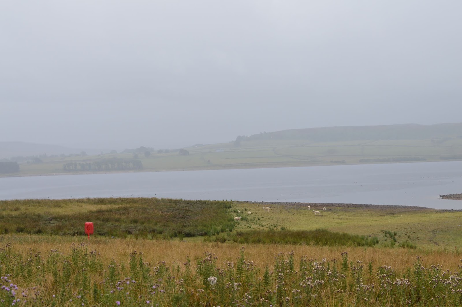 FREE Nature Trail at Derwent Waterside Park, Consett | North East ...