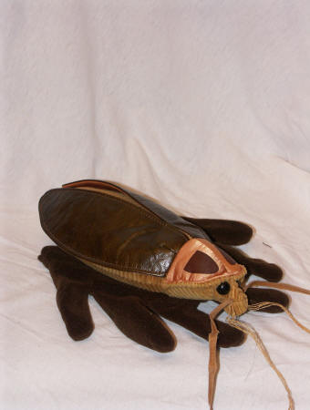 Beyond the Book Storytimes: Singing to Martina the Beautiful Cockroach