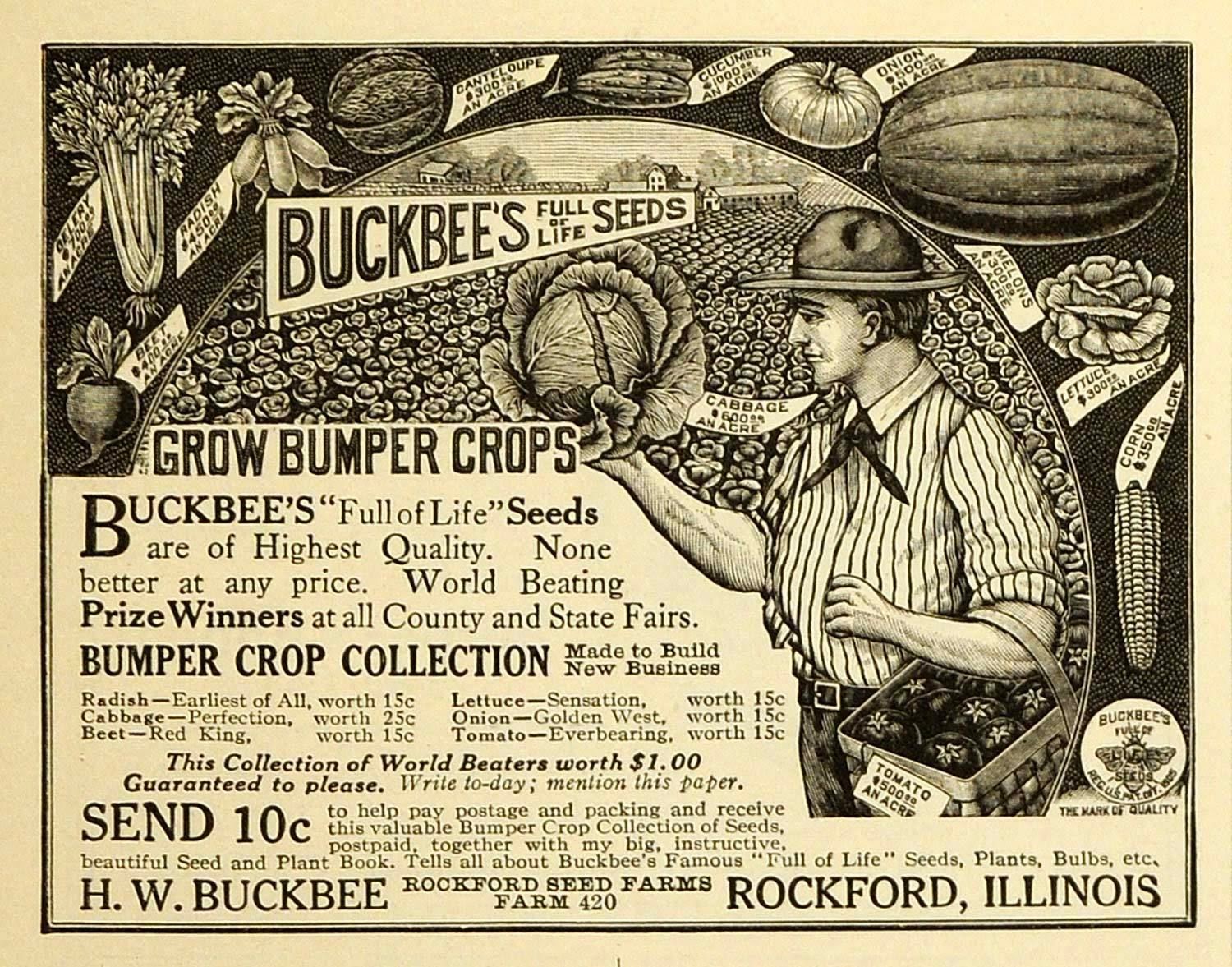 The Promise of Seeds: Magic in a Packet: Buckbee's Full of Life Seeds