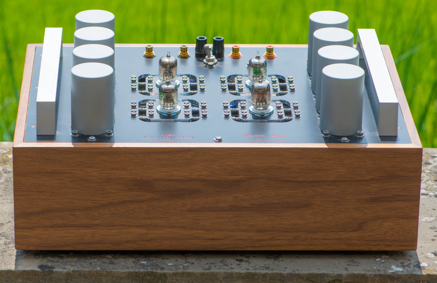 VinylSavor: Tube of the Month : The 6AM4