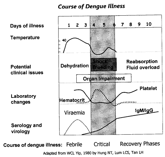 Public Health Resources: What are the 3 phases of Dengue?