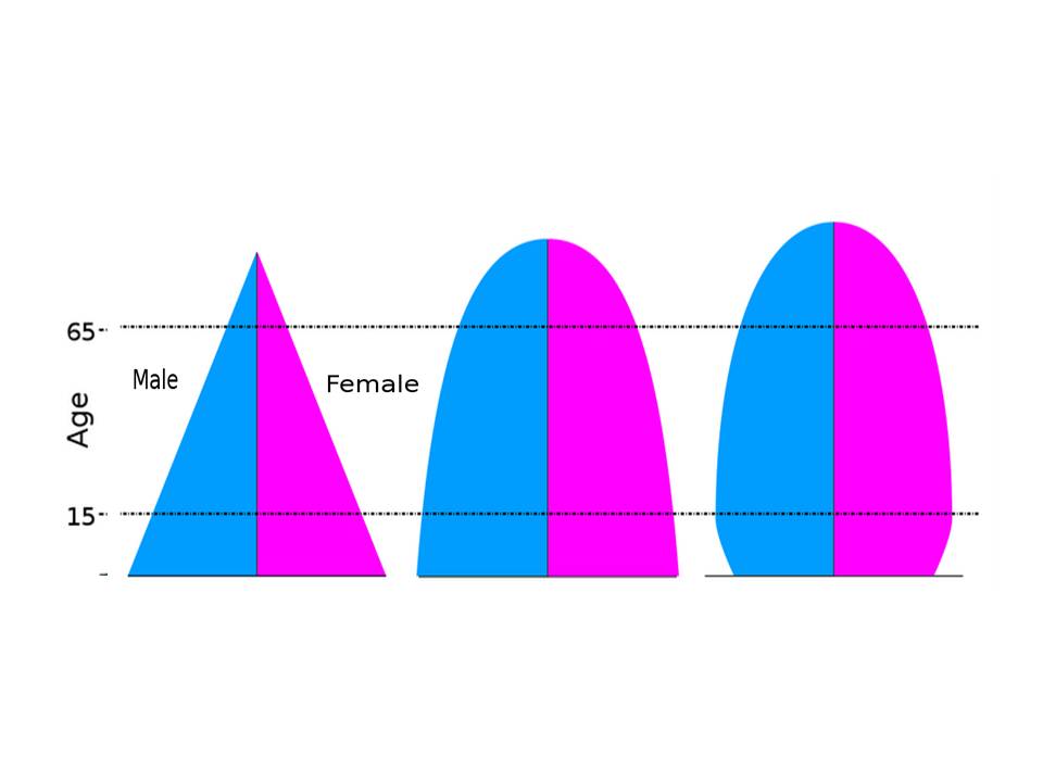 SCIENCENOTES: Population Characteristics - IV
