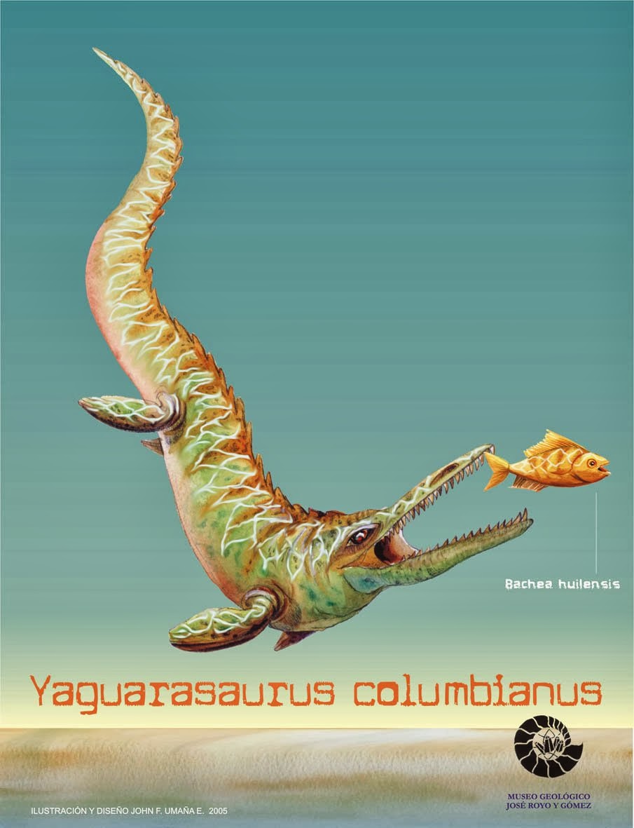 Paleontología en Colombia: Yaguarasaurus, el mosasaurio de Colombia