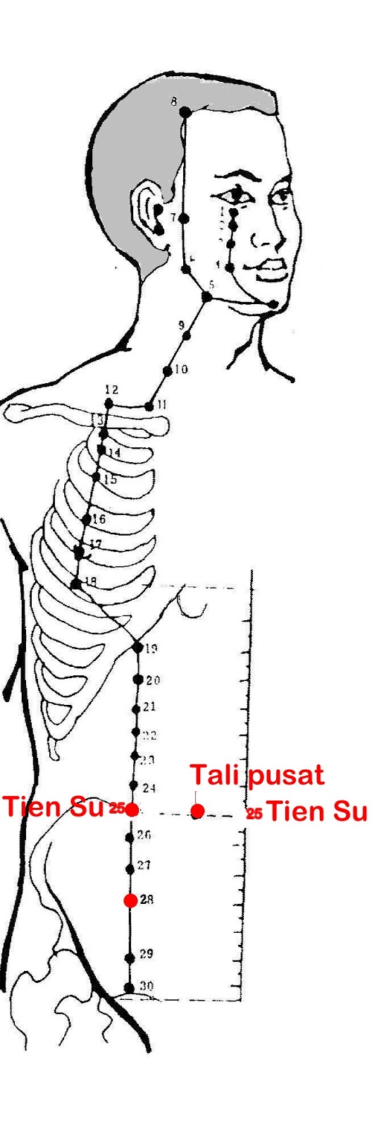 DIARE ( MENCRET ) - PENYUMBATAN