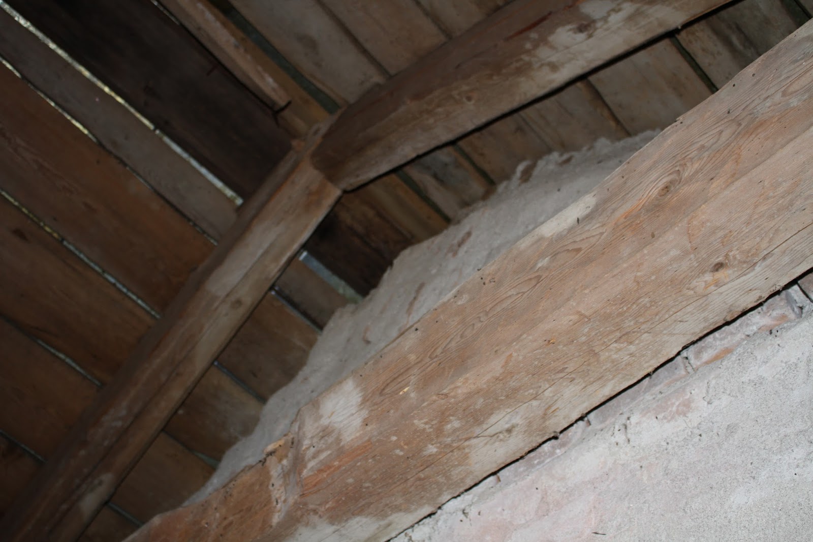 Kaarina Davis: Lepakoita vintillä?