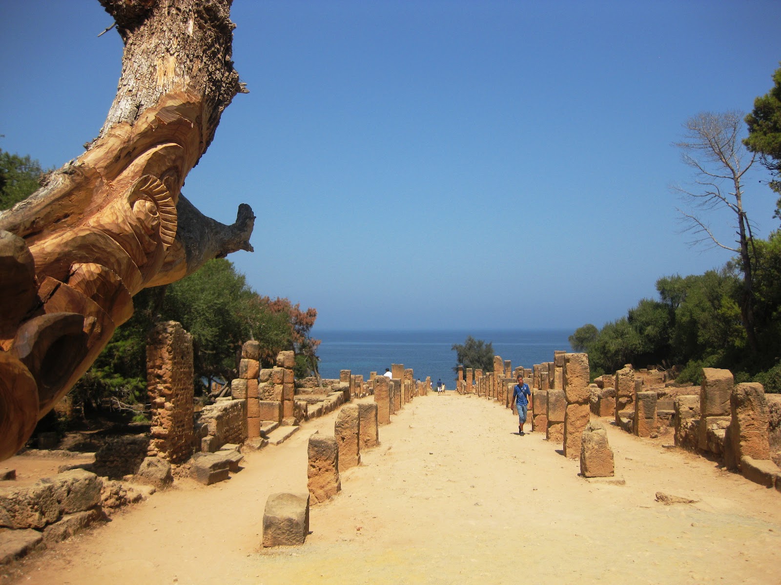 I'm a Cool Dentist: Tipaza