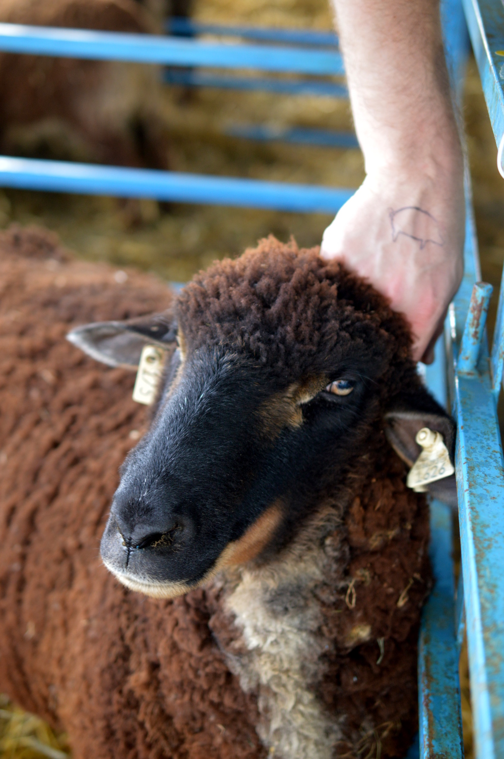 Reef Botanicals - Farm Fresh and Handcrafted Indulgences