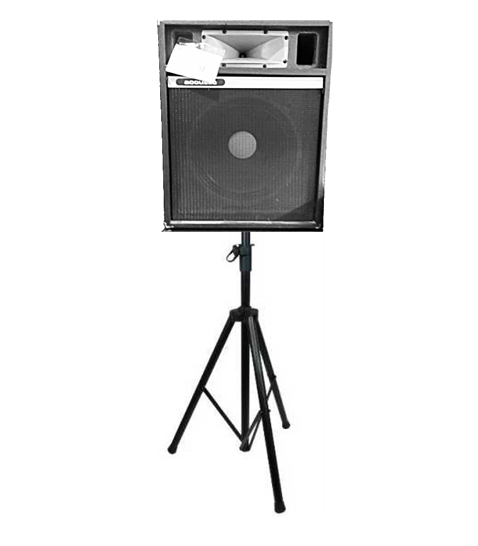 The Styrous® Viewfinder: Acoustic Control Corporation PA3115 stage monitor