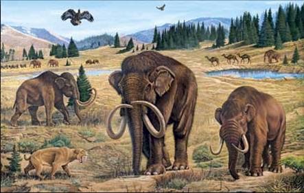 Water for Sixth Grade: Stone Age Animals