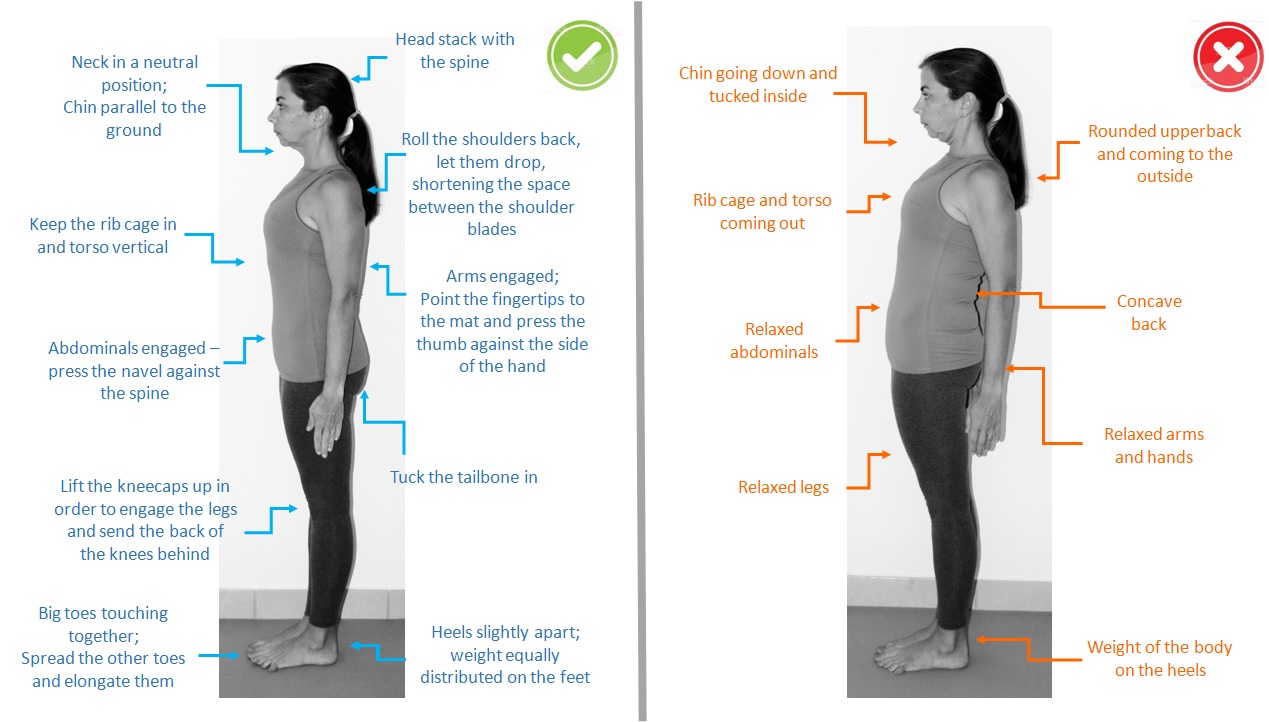 Tadasana or Samasthiti (Mountain Pose)