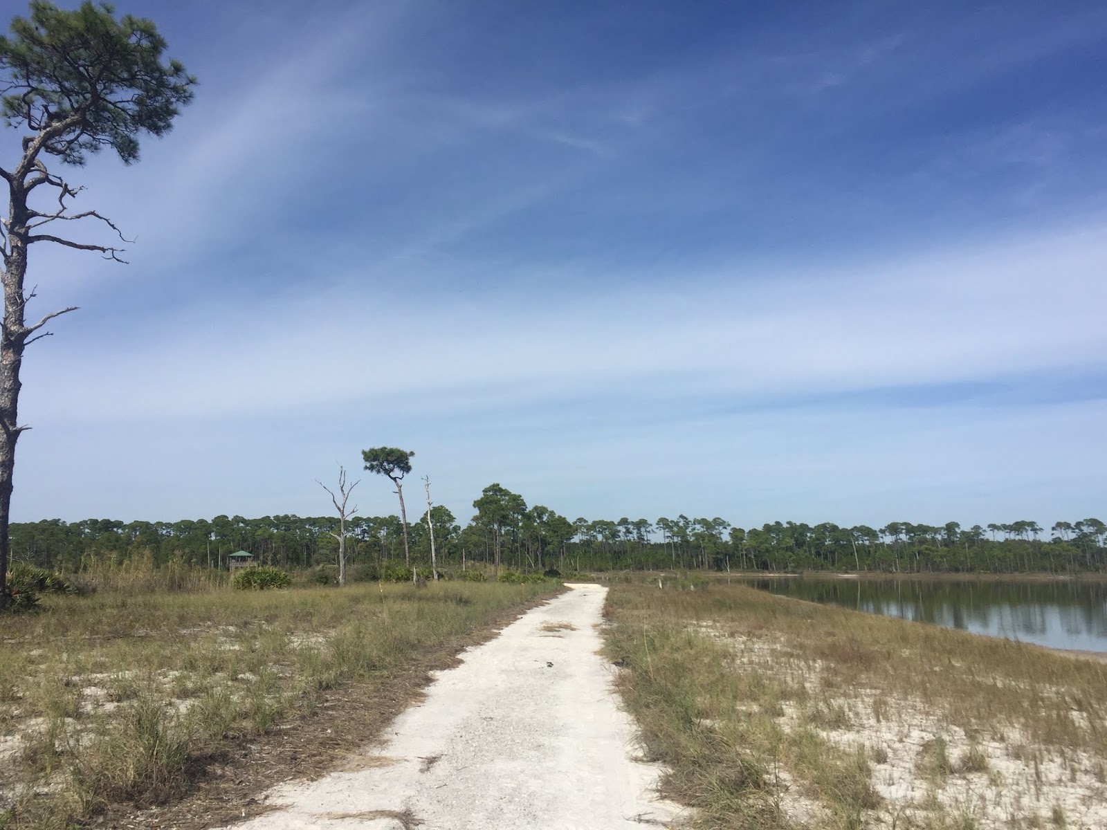 Travel Reviews & Information: Alabama Recreation: Bon Secour National ...