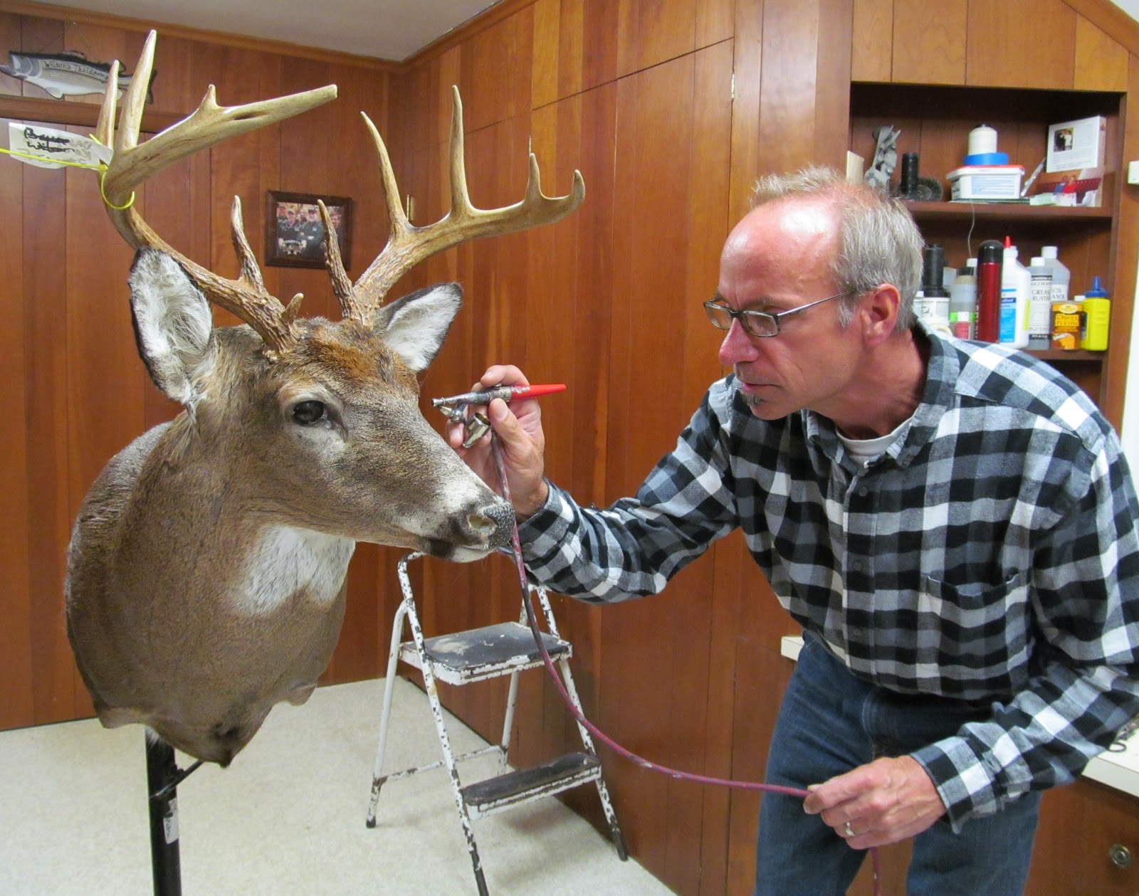 Deer Mounting Kit With Cape