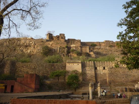 India Tourism: Ranthambore Tour | Rajasthan Ranthambore Wildlife ...