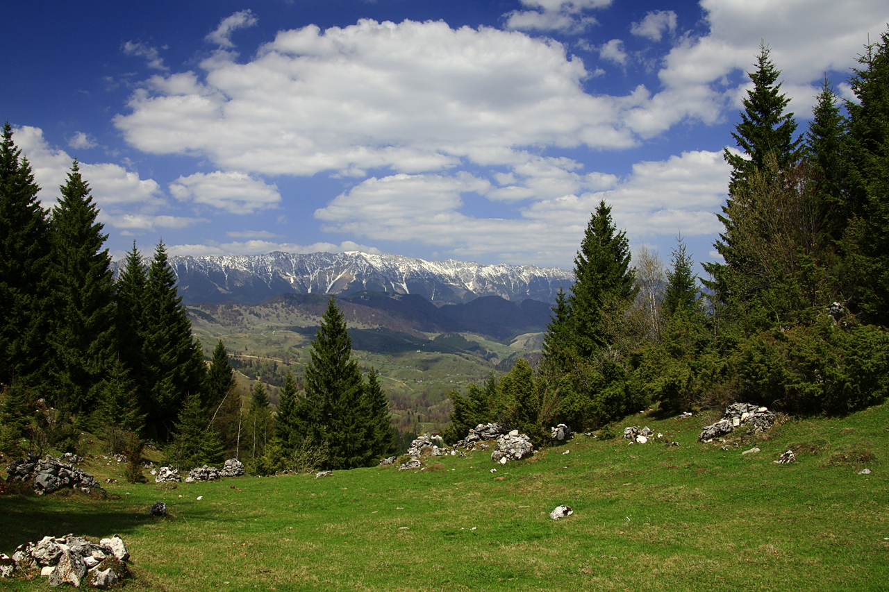 Dan Tiganila: Cheile Gradistei - Fundata