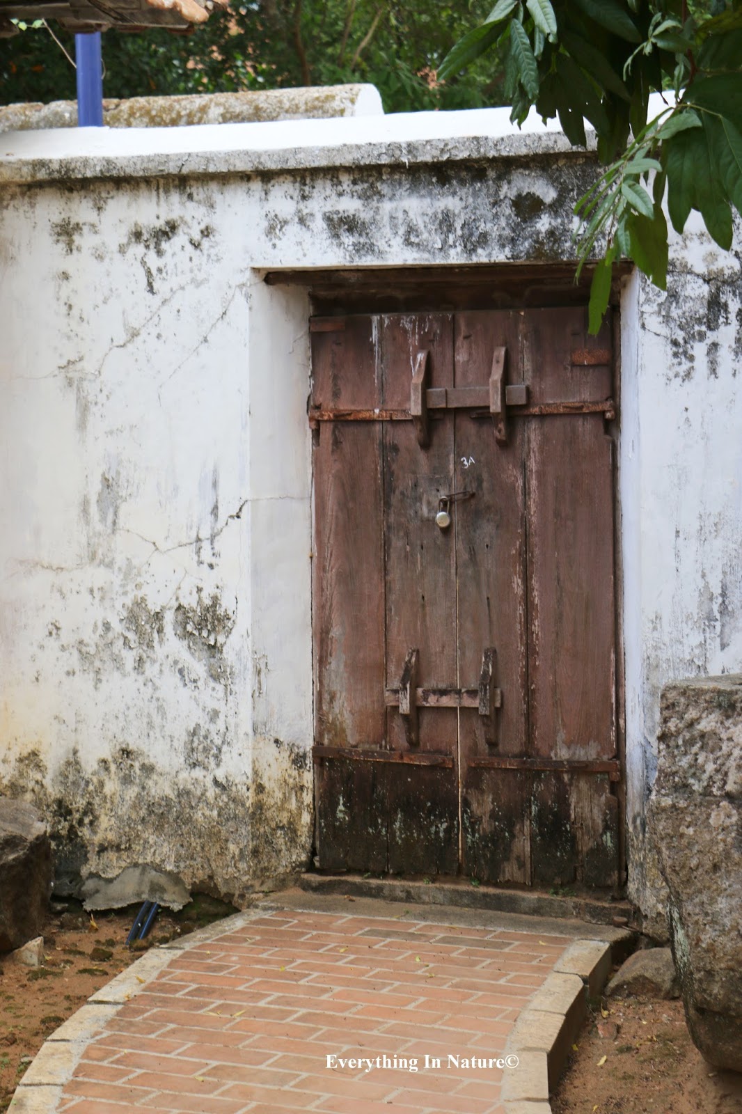 Everything In Nature: Kerala Calling : Padmanabhapuram Palace