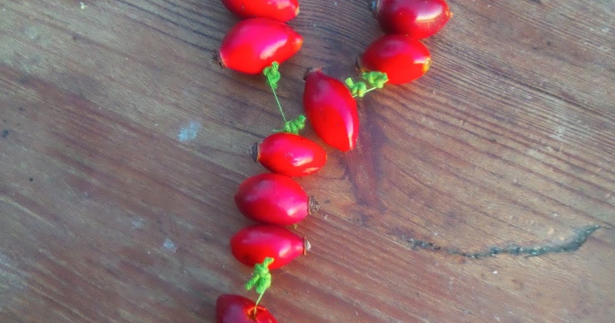 Mamo, ZRÓB TO SAMo: Różaniec różany