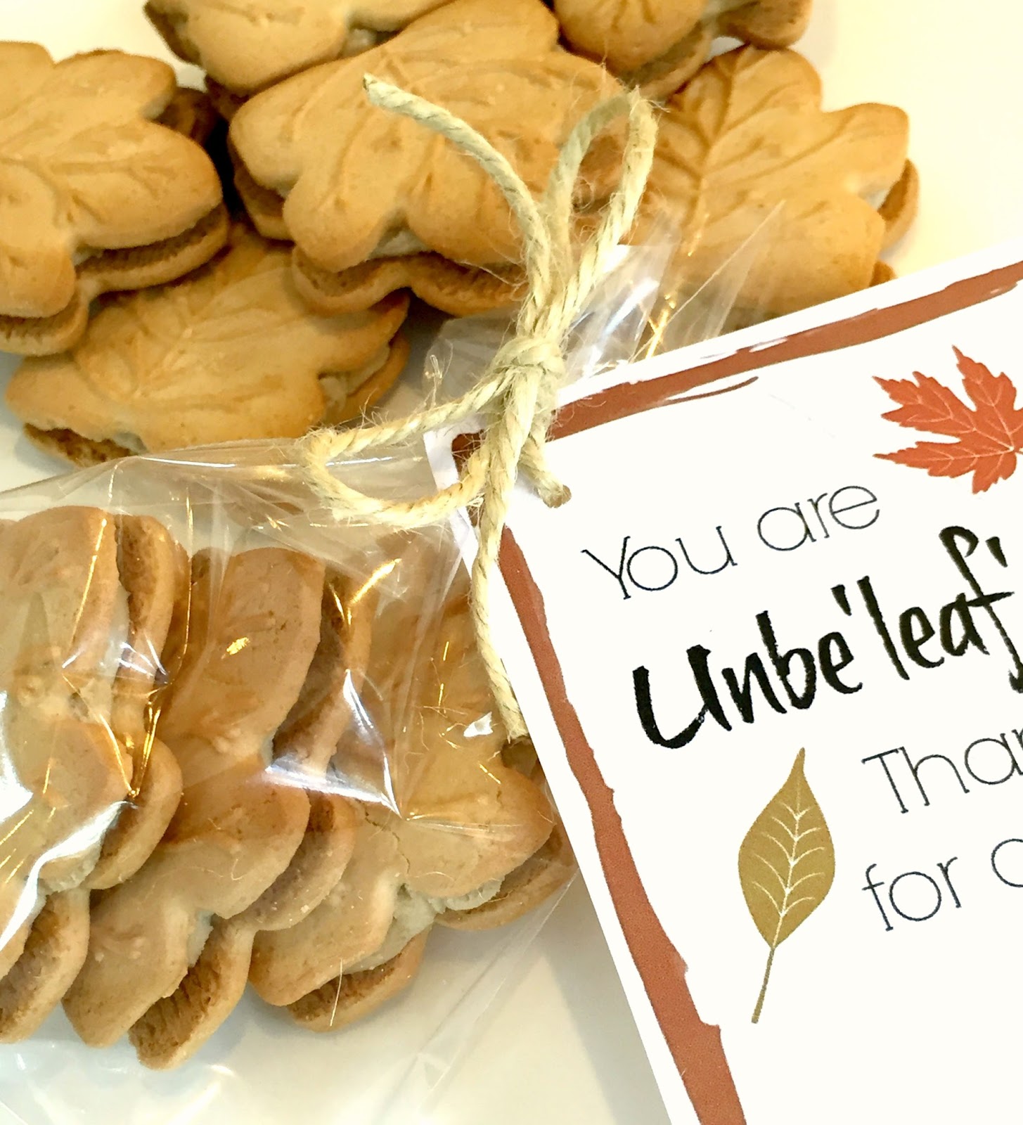 michelle paige blogs: Thankful Leaf Gifts