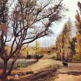 a blog to share what inspires our work and life.