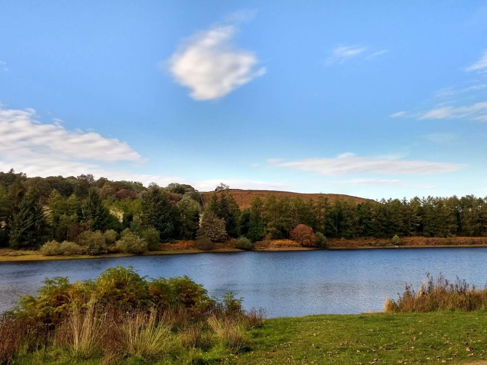 Creative Mummy Bear: Cod Beck Reservoir, Osmotherley.