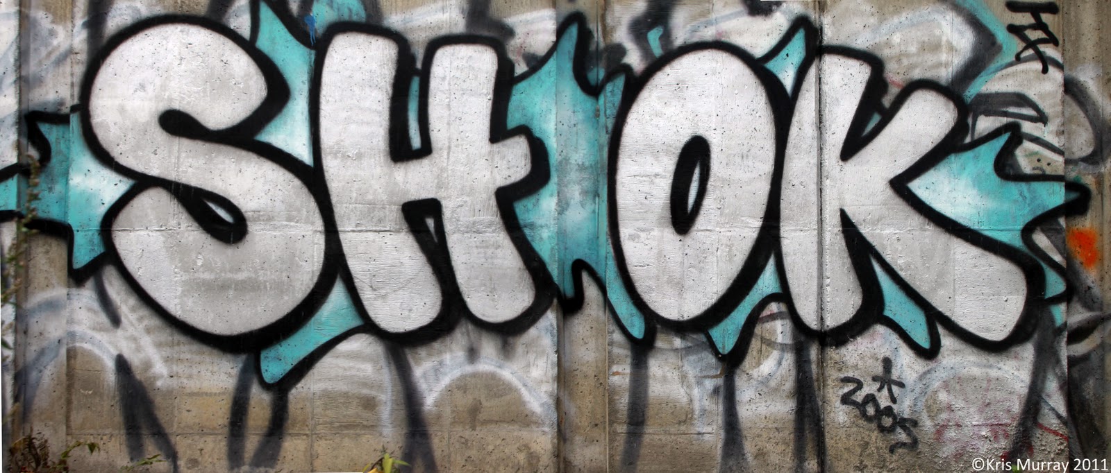 Montreal Graffiti: Turcot and the VilleMarie: Nov 2011