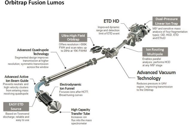 News in Proteomics Research: Orbitrap Fusion Lumos