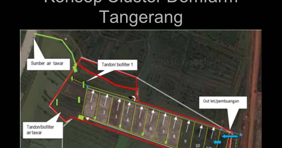 Omne vivum ex aquatic