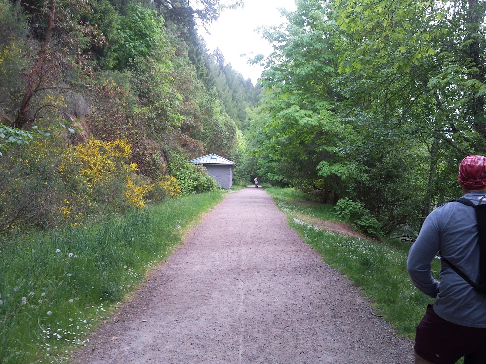 Mel's Daily Dose: May 21...Mt.Work hike