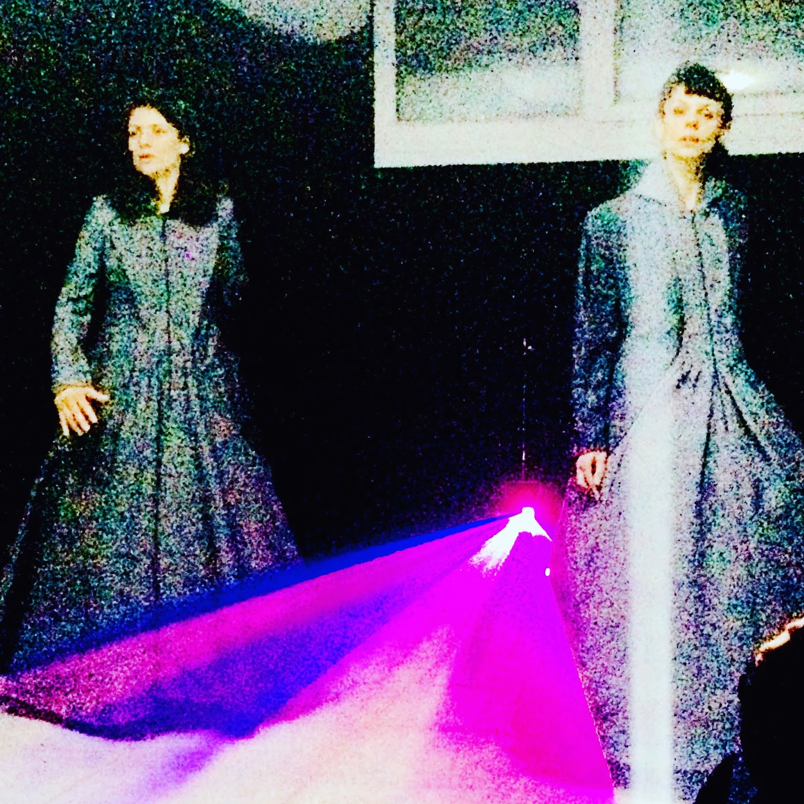 Chien de lisard: Festival des caves: 19 spectateurs, plus les hirondelles