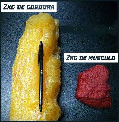 Fitnessmente: Musculo x Gordura