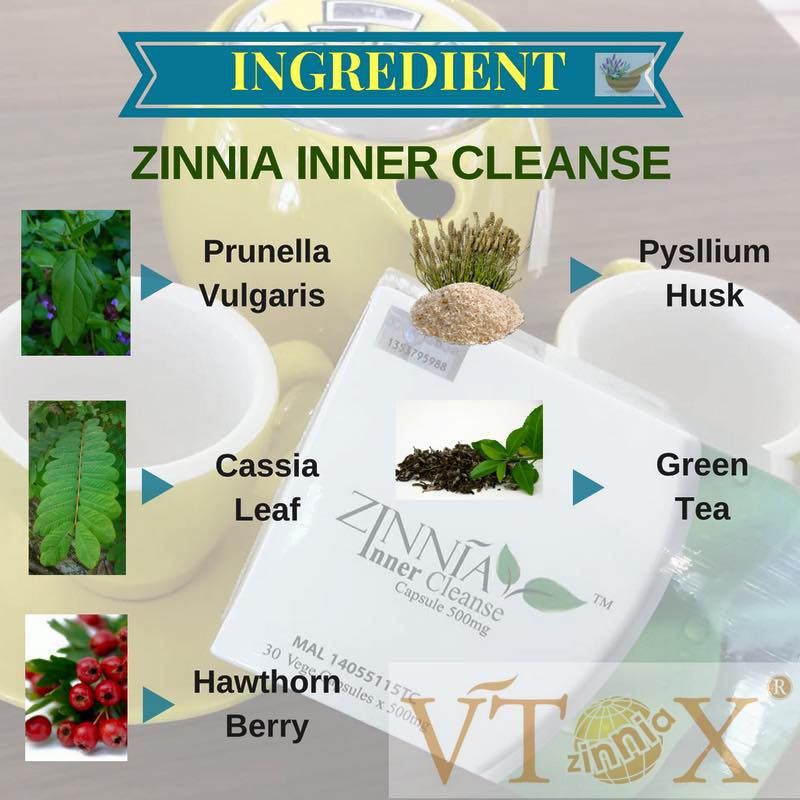 My freedom time's Diary: ZINNIA Inner Cleanse
