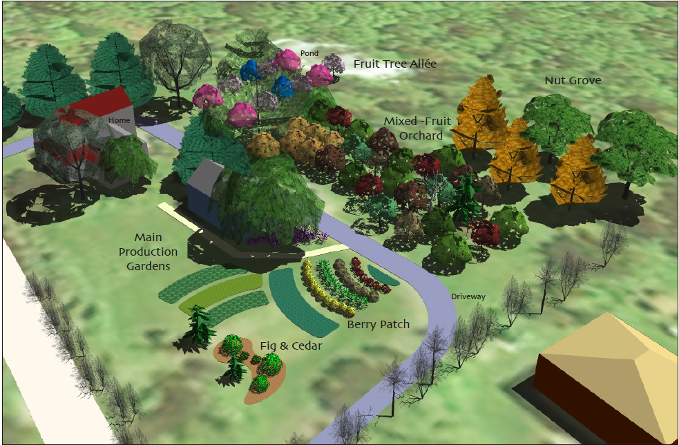 Not Buying Anything: Meaningful Change Through Permaculture Design