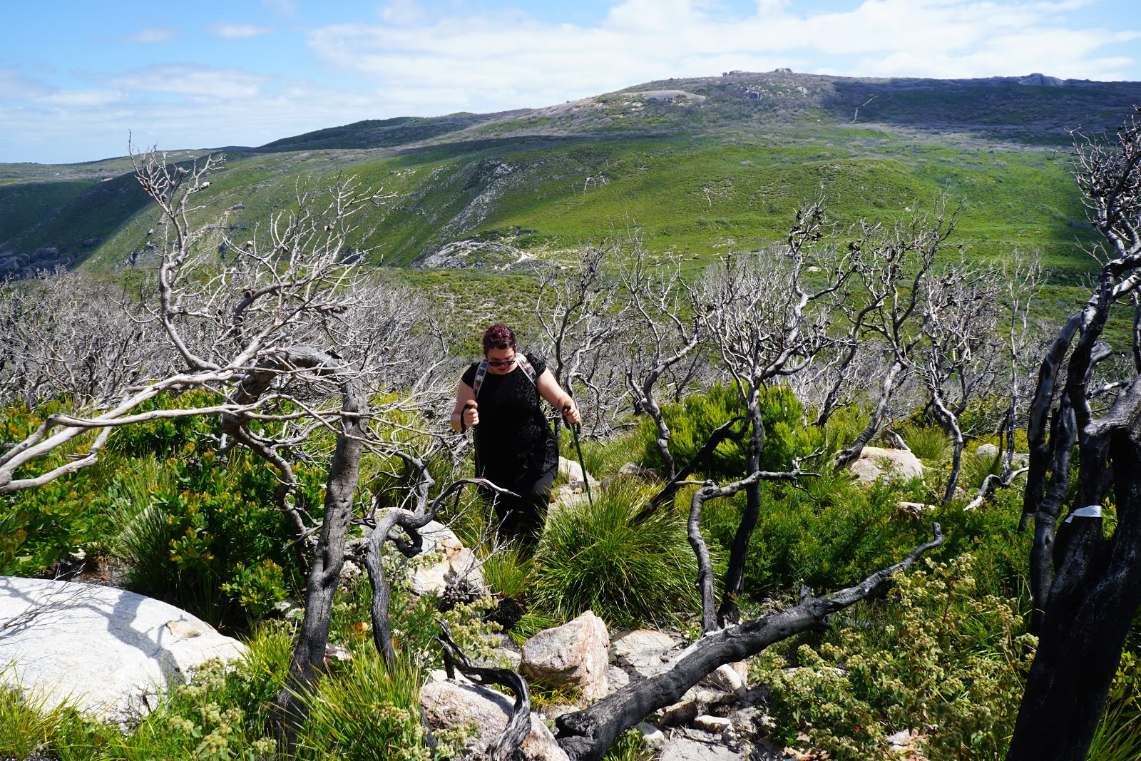 Peak Head Walk Trail (Torndirrup National Park) ~ The Long Way's Better