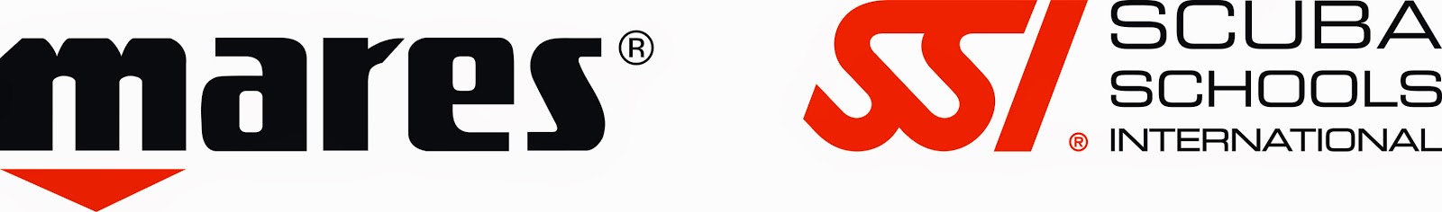 Gearing Up for the 2nd Anilao Underwater Shoot Fest ~ Beautiful Life