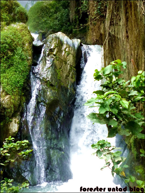 pesona air terjun wera, sulawesi tengah ~ FORESTER UNTAD BLOG