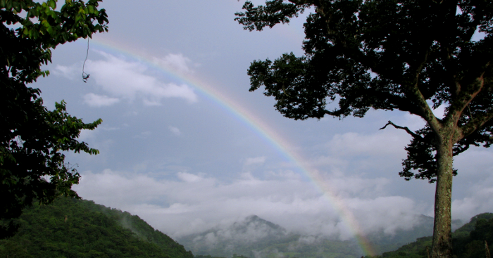 Rainbow in the Valley